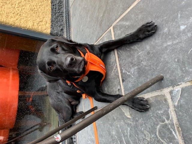 Beavers Recruitment | Swindon | Driving & Warehouse recruitment specialists